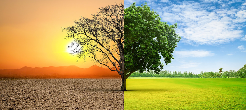 Placements and Open Positions | Creative Evolutions